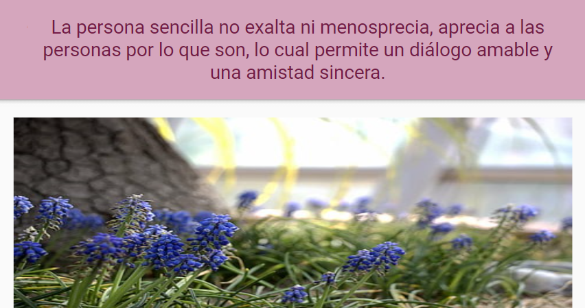 MODESTIA | Colegio Alemán