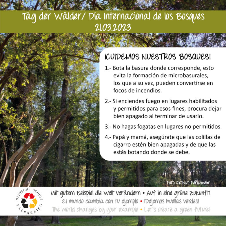 21 de marzo – Día Mundial de los Bosques | Colegio Alemán de Valparaíso ...