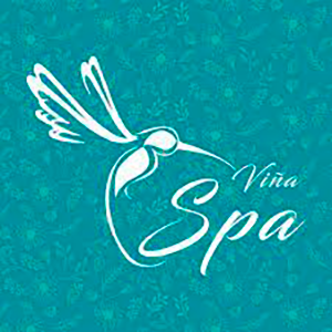 Viña Spa | Colegio Alemán