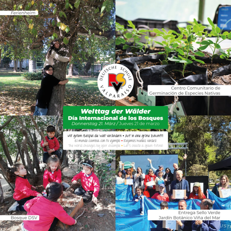 21 de marzo – Día Internacional de los Bosques | Colegio Alemán